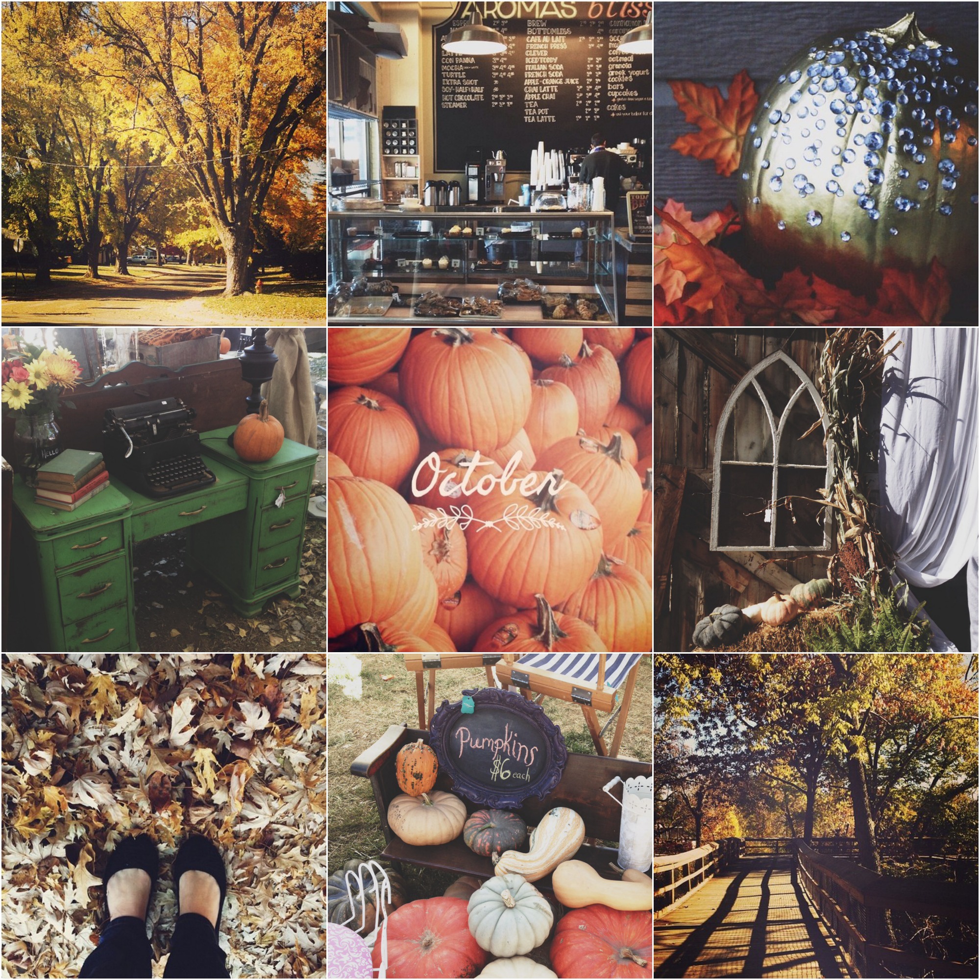 Falling for Fall: Autumn Recap | Jillianastasia