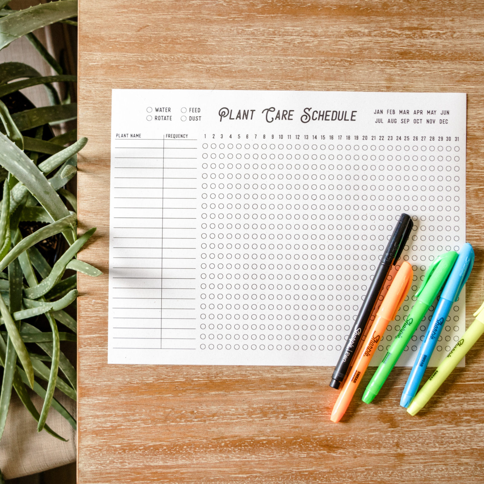 Plant Watering Schedule Free Printable - The Anastasia Co